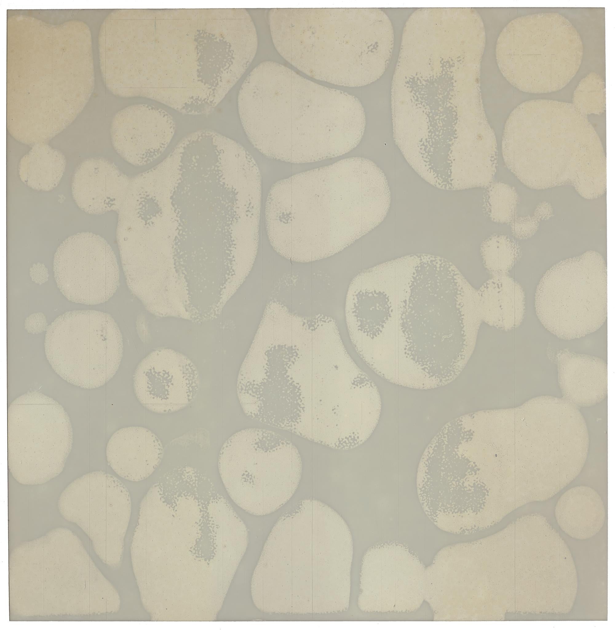 Stephen Mallon - "Weeks 533" Edition of 5 For Sale at 1stDibs