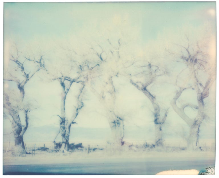 Stefanie Schneider - Winter (American Depression) - Contemporary ...