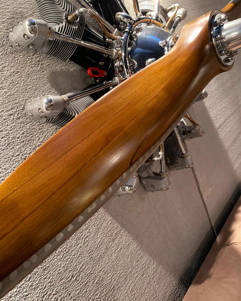 Stellar Aircraft Engine with Propeller Wall Decoration For Sale at ...