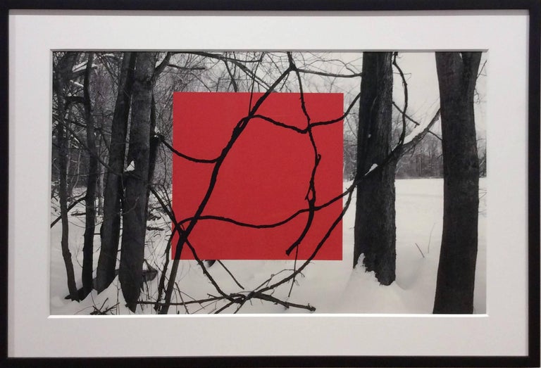 Stephanie Blumenthal - Red Square (Modern Abstract B&W Gestural Tree ...