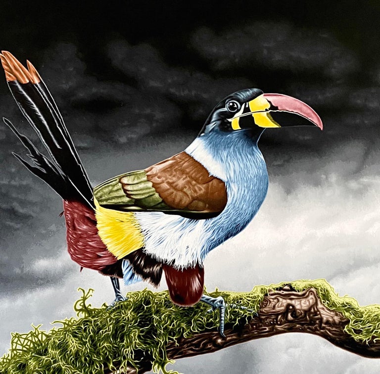 Stephen Hall - Acrylic Painting of Bird: 'Sin Arboles' For Sale at 1stDibs
