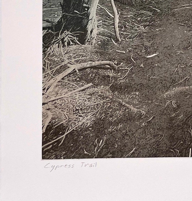 Stephen McMillan - Cypress Trail, a la poupee edition For Sale at 1stDibs