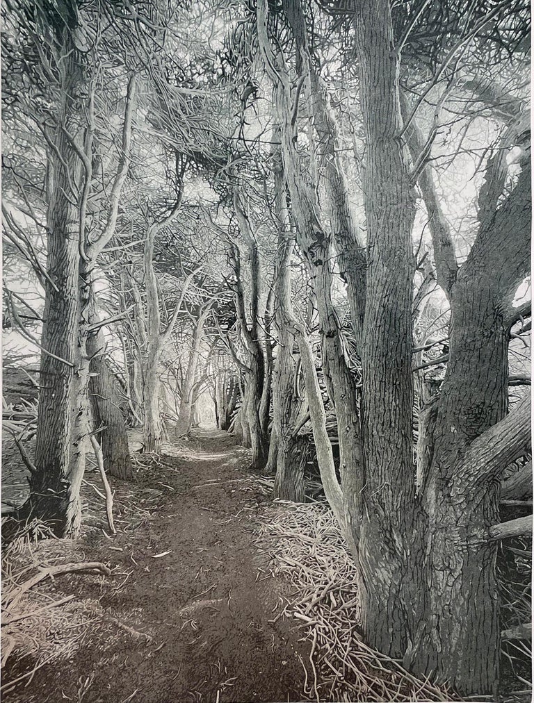 Stephen McMillan - Cypress Trail, a la poupee edition For Sale at 1stDibs