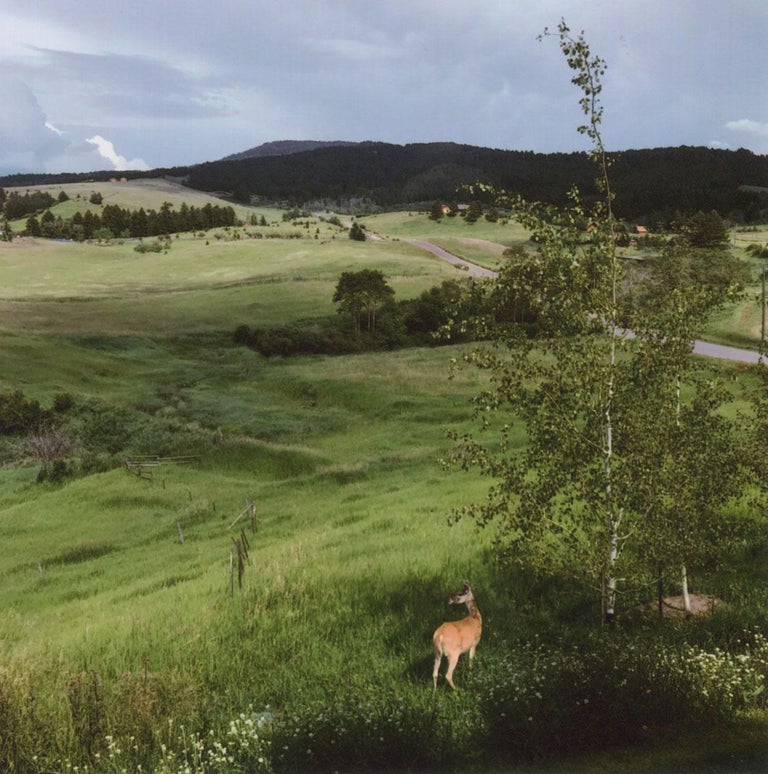 Stephen Shore – „Bridger Canyon, Bozeman, Montana, 17. Juli 2018“ im ...
