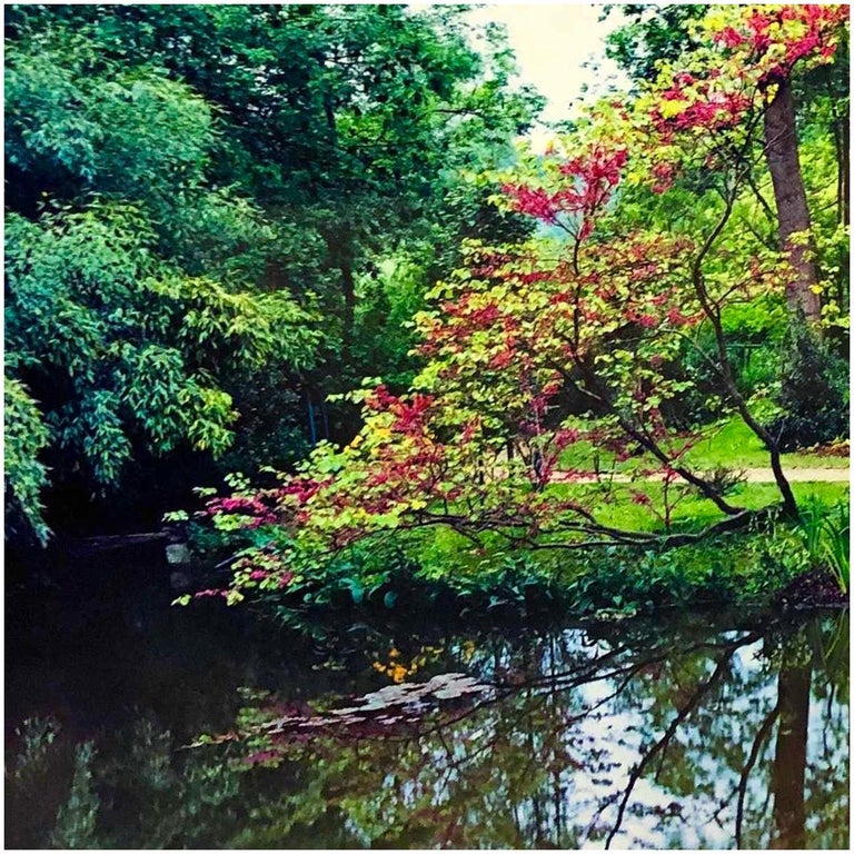 Stephen Shore, the Gardens at Giverny, 1983, Color Landscape Photograph ...