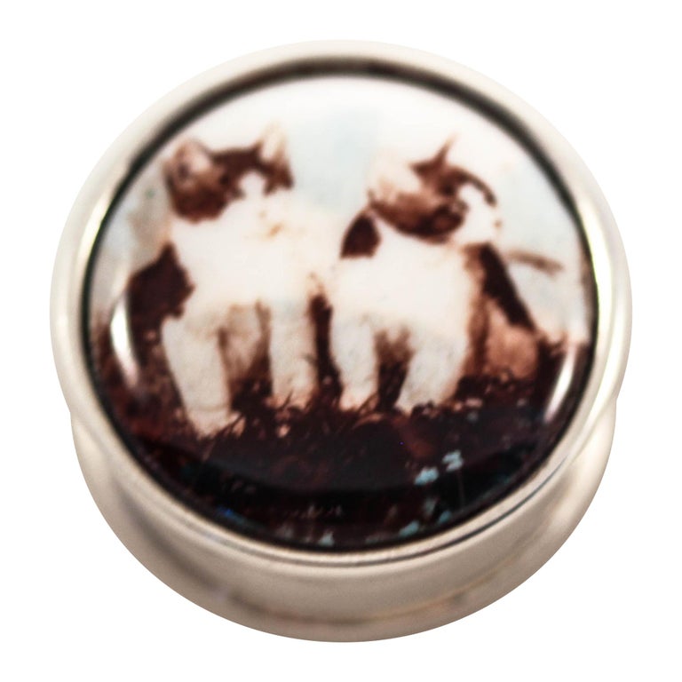 Sterling and Enamel Kittens Pillbox For Sale at 1stDibs