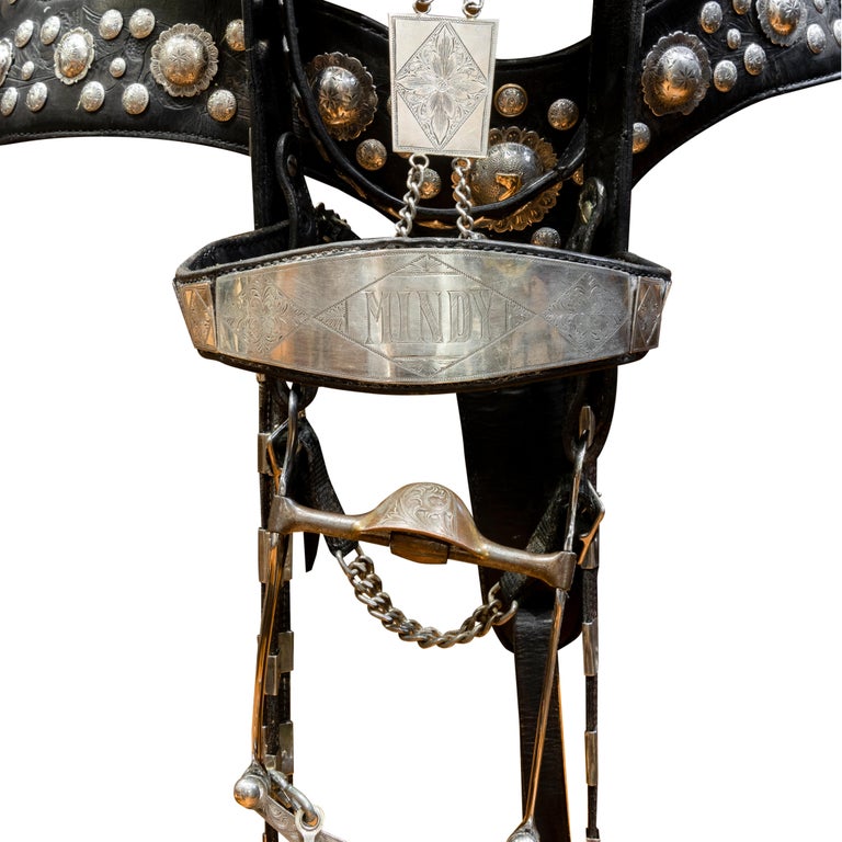 Sterling on Black Parade Saddle For Sale at 1stDibs | parade saddles ...