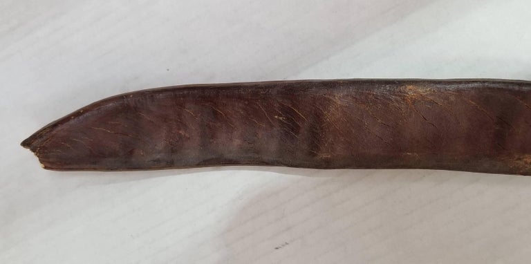 Sterling Silver "Bean" Pod Inspired Cuff Bracelet with Brown Diamonds ...