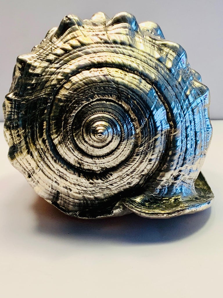 Sterling Silver Covered Sea Shell in the Style of Buccellati at 1stDibs