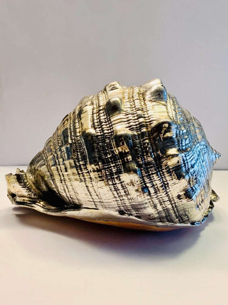 Sterling Silver Covered Sea Shell in the Style of Buccellati at 1stDibs