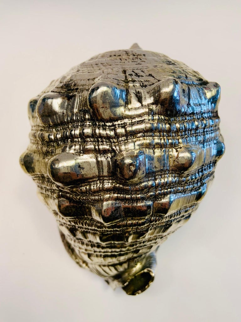 Sterling Silver Covered Sea Shell in the Style of Buccellati at 1stDibs