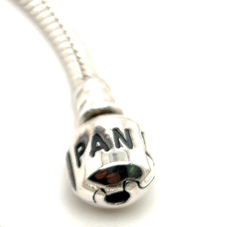 Sterling Silver Pandora Necklace For Sale at 1stDibs