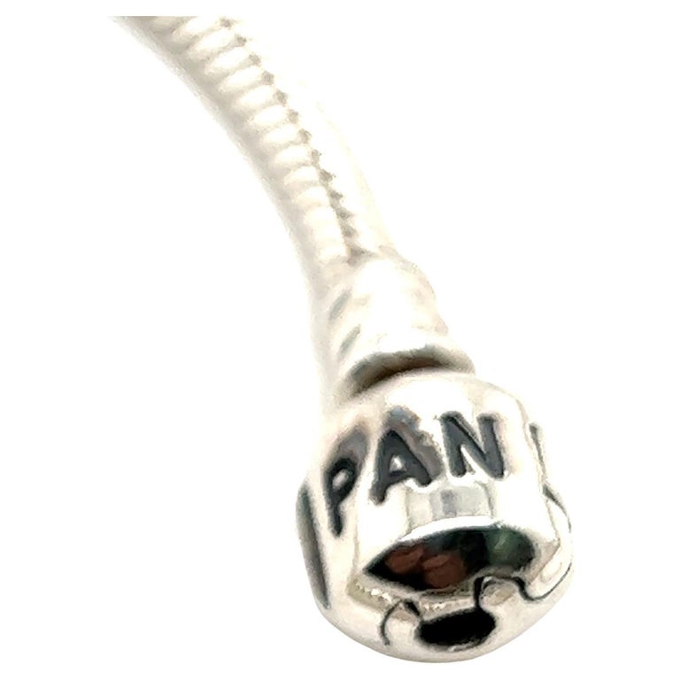 Sterling Silver Pandora Necklace For Sale at 1stDibs