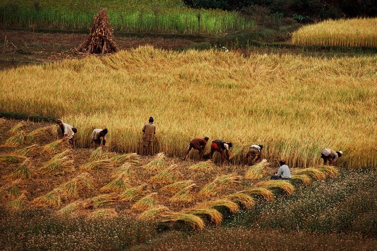 steve mccurry landscape photos