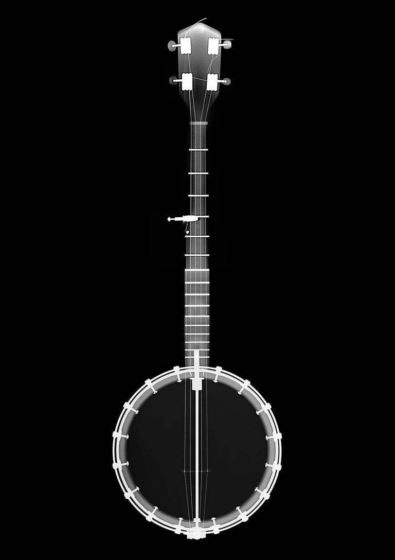 Steve Miller - Banjo (MRI), New York Hospital, NY, 1995 For Sale at 1stDibs