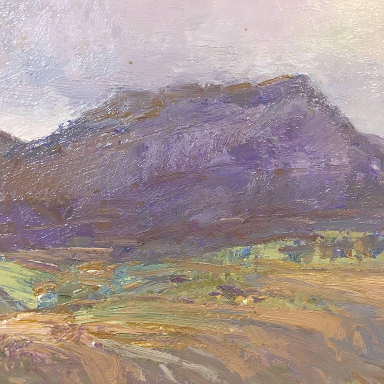 Steve Seltzer - Purple Butte For Sale at 1stDibs