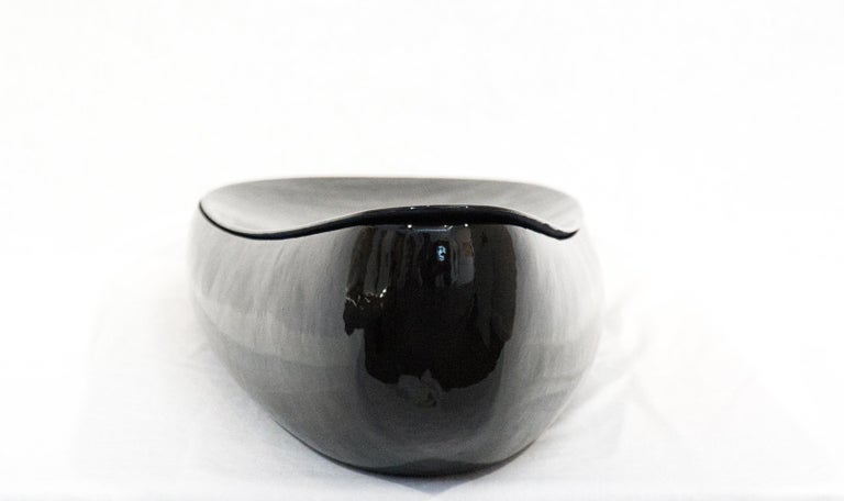 Steven Heinemann - Black Slider - glossy black, nature inspired ...