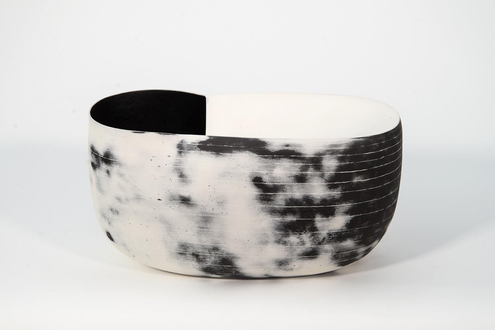 Steven Heinemann - Borealis - black and white, nature inspired ...