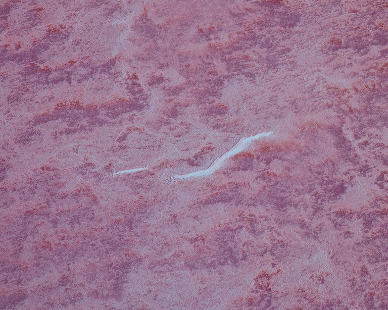 Steven Manolakis - Ode For Sale at 1stDibs