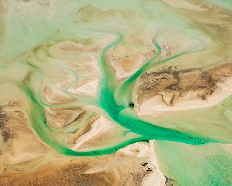 Steven Manolakis - Physis For Sale at 1stDibs