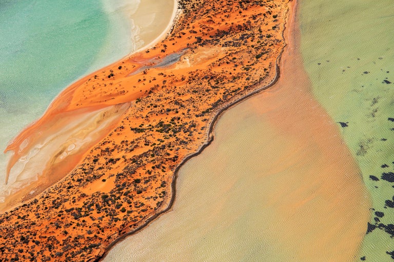 Steven Manolakis - The Shimmer For Sale at 1stDibs