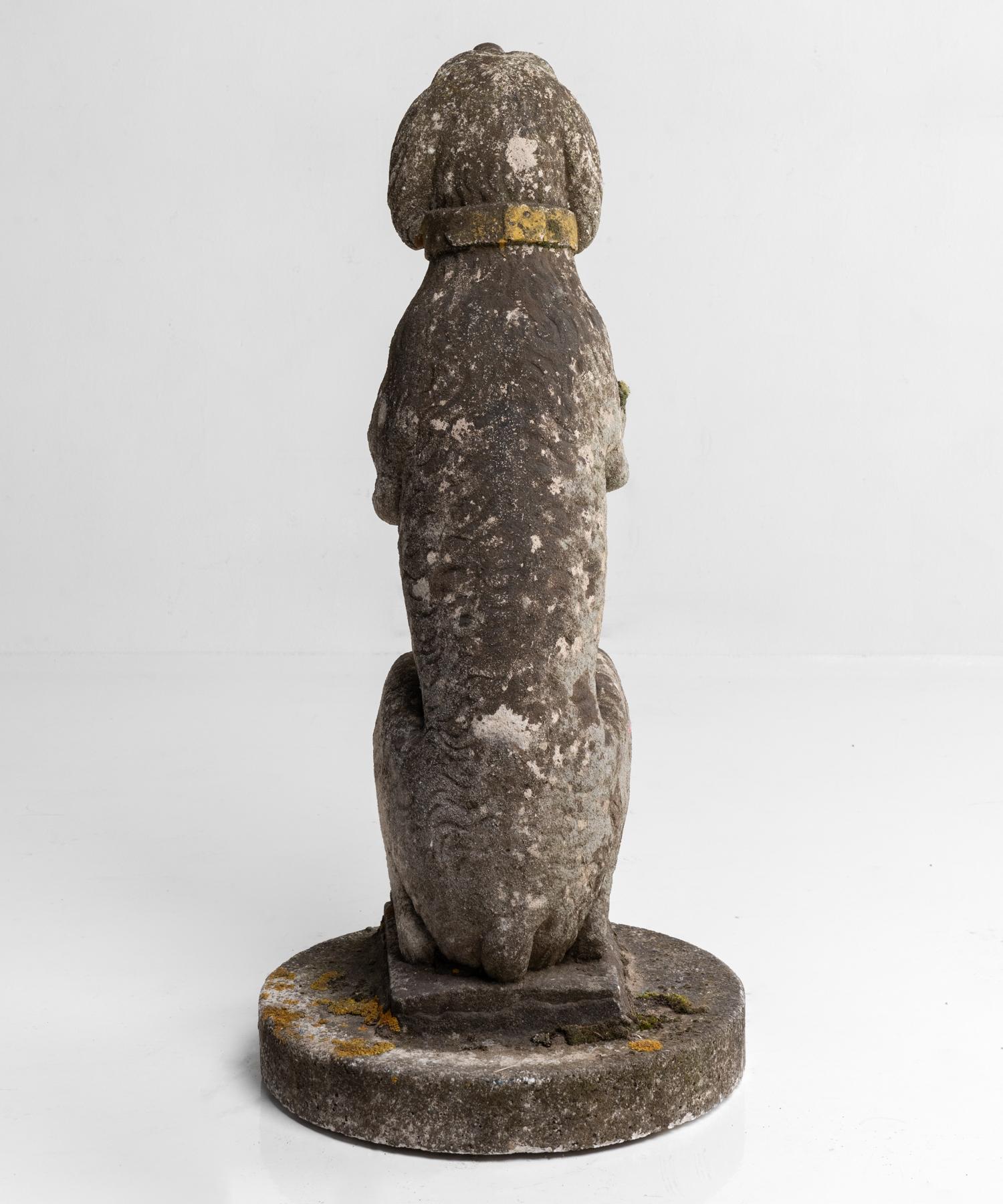 Stone Begging Dog, Italy, circa 1950 at 1stDibs