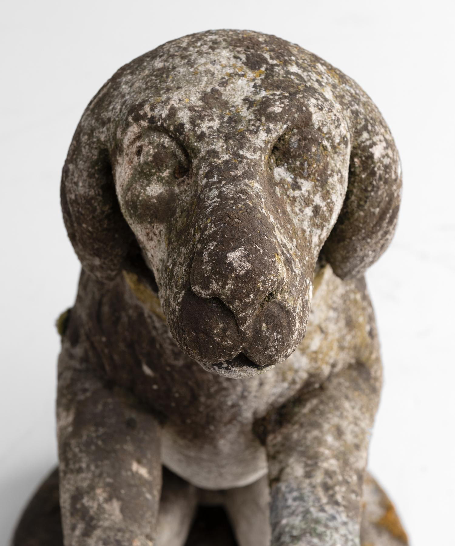 Stone Begging Dog, Italy, circa 1950 at 1stDibs
