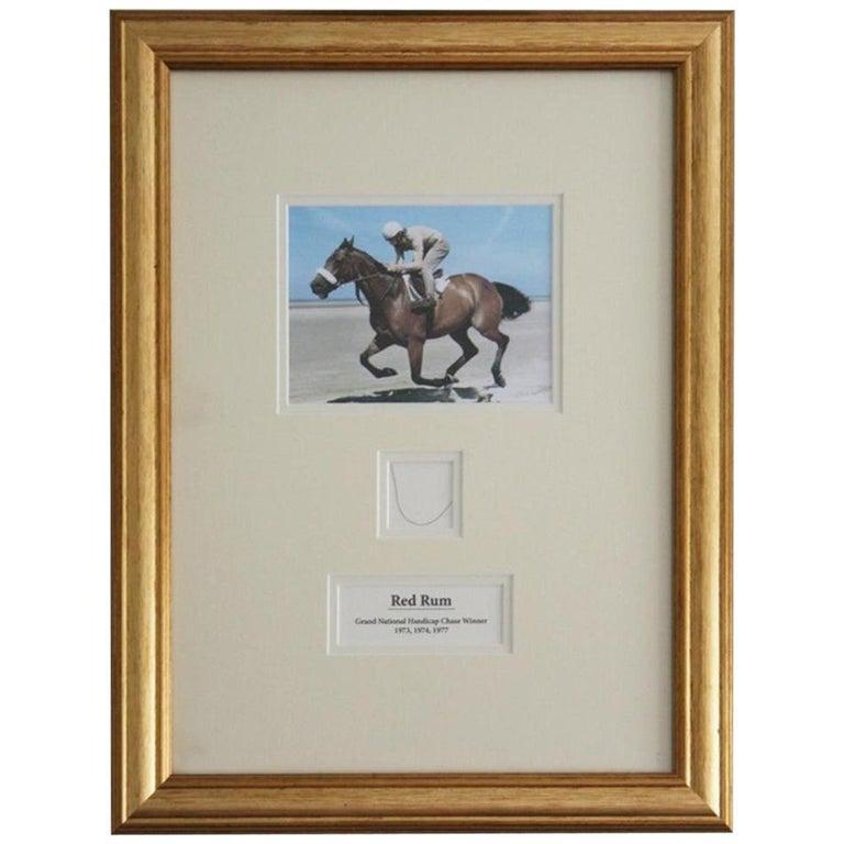 Vintage Strand of Racehorse Red Rum's Hair, 20th Century For Sale at ...