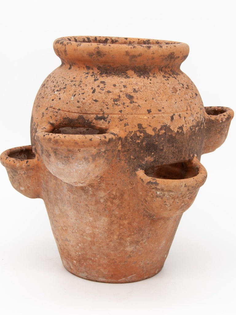 Strawberry Pot in Medium at 1stDibs