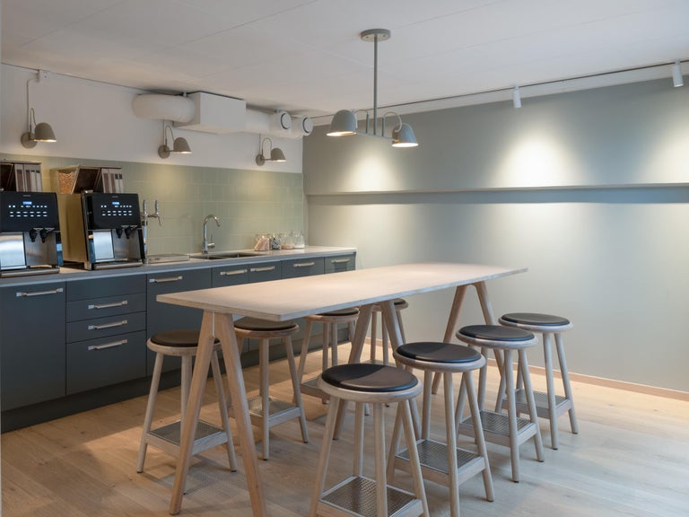 'Streck' 2-Armed Ceiling Light by Joel Karlsson for Örsjö in Pine Green ...