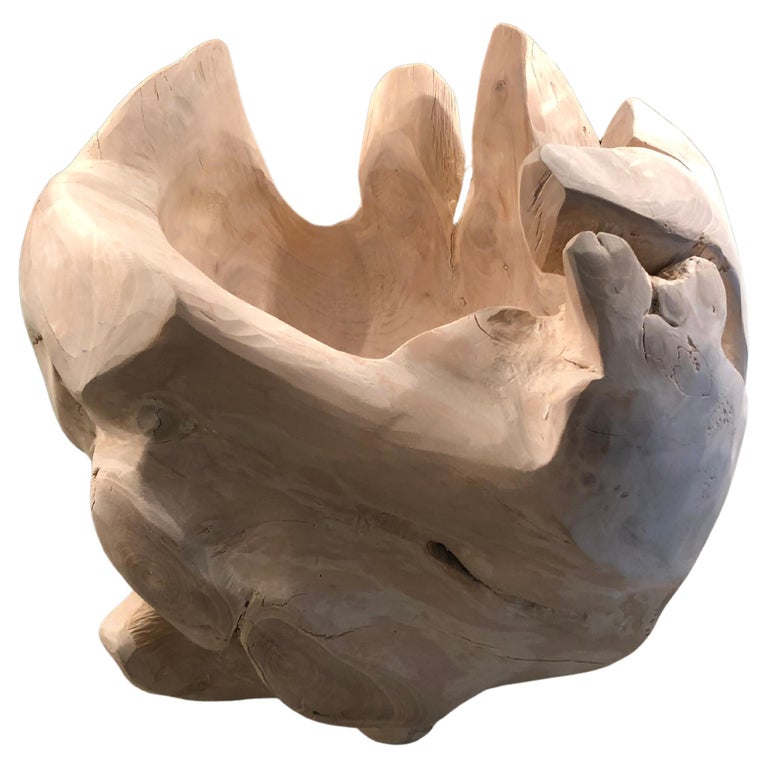 Striking Large Organic Modern Amoeba Shaped Carved Wood Vessel at 1stDibs