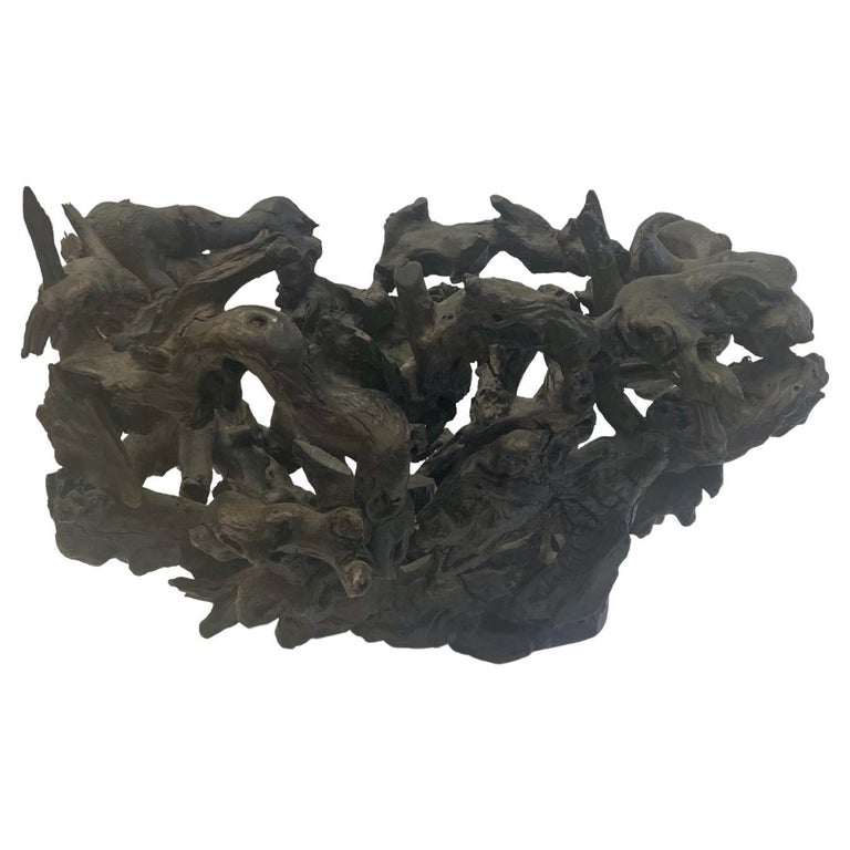 Striking Large Organic Root Decorative Bowl For Sale at 1stDibs
