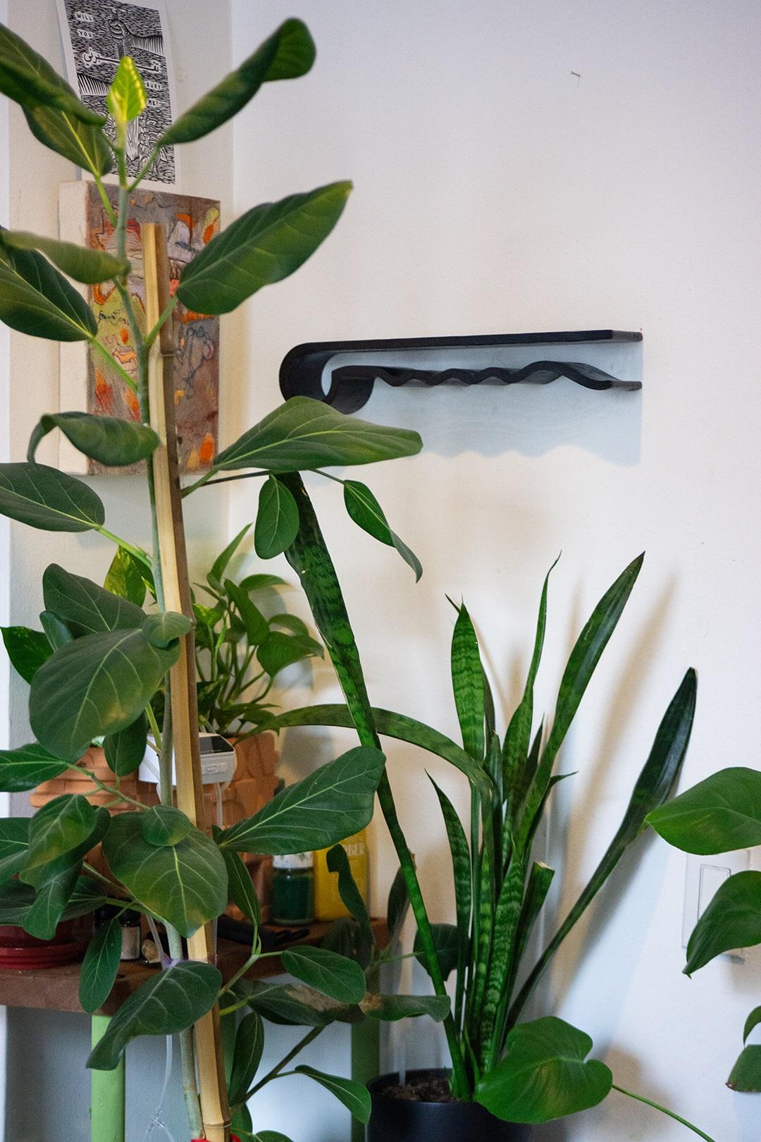 Studio Apotroes Solid Wood Bobbi Mini Shelf/Wall Art For Sale at 1stDibs