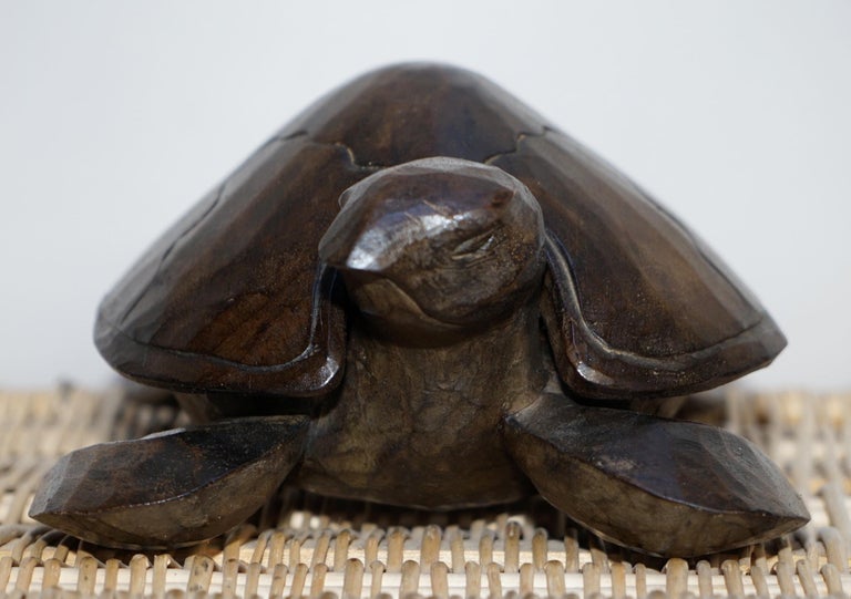 Stunning Hand Carved Vintage Wood of Sea Turtle, Back Lifts Up Small ...