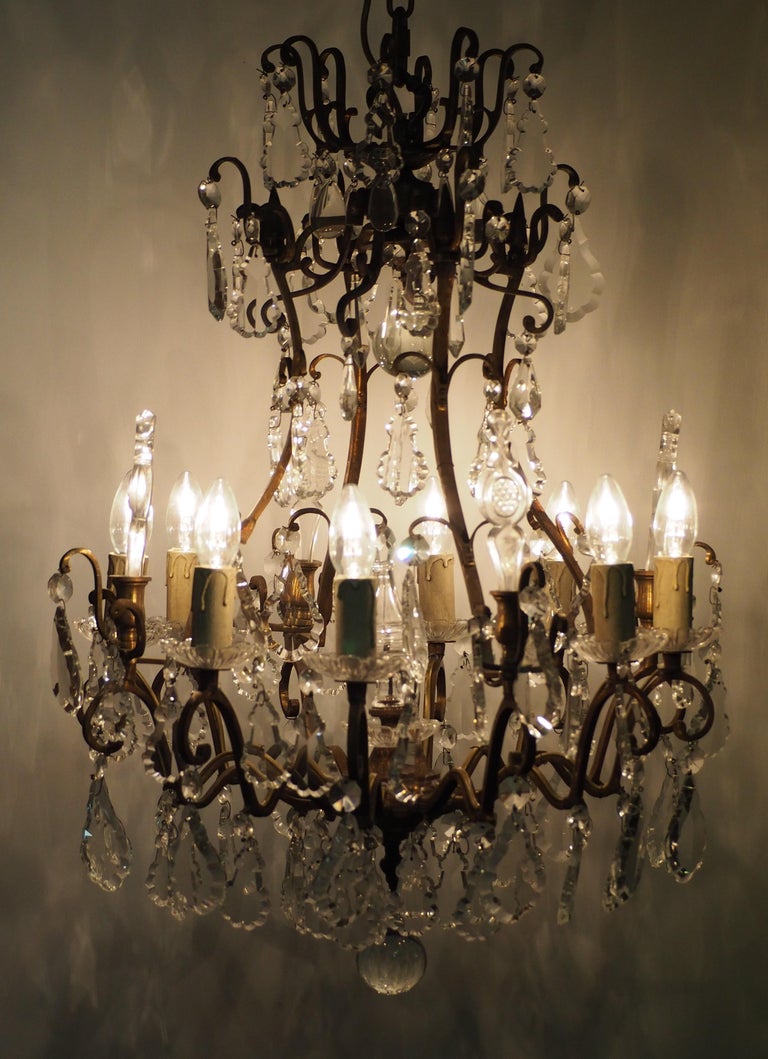 Stunning Pair of French Bronze and Crystal Chandeliers at 1stDibs