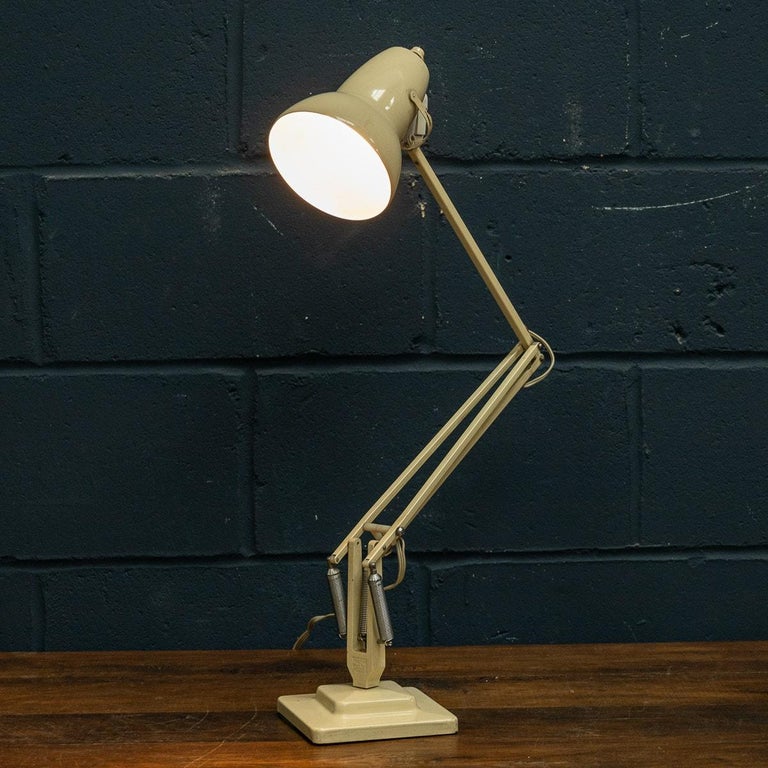 Stunning Two-Step Herbert Terry Anglepoise Lamp, Model 1227, England ...