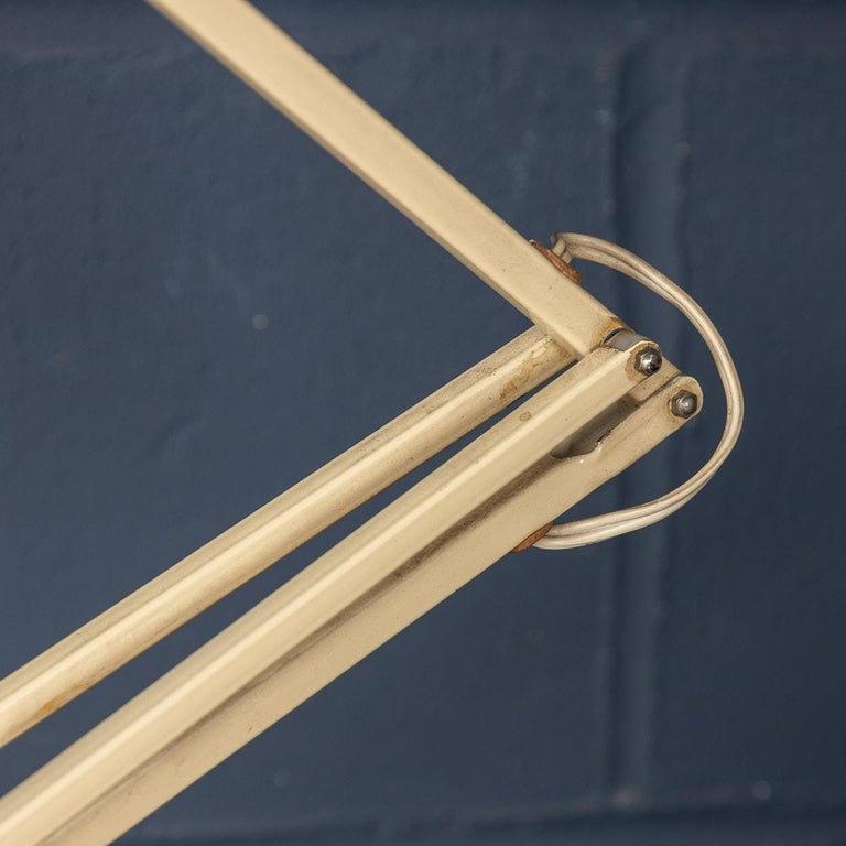 Stunning Two-Step Herbert Terry Anglepoise Lamp, Model 1227, England ...