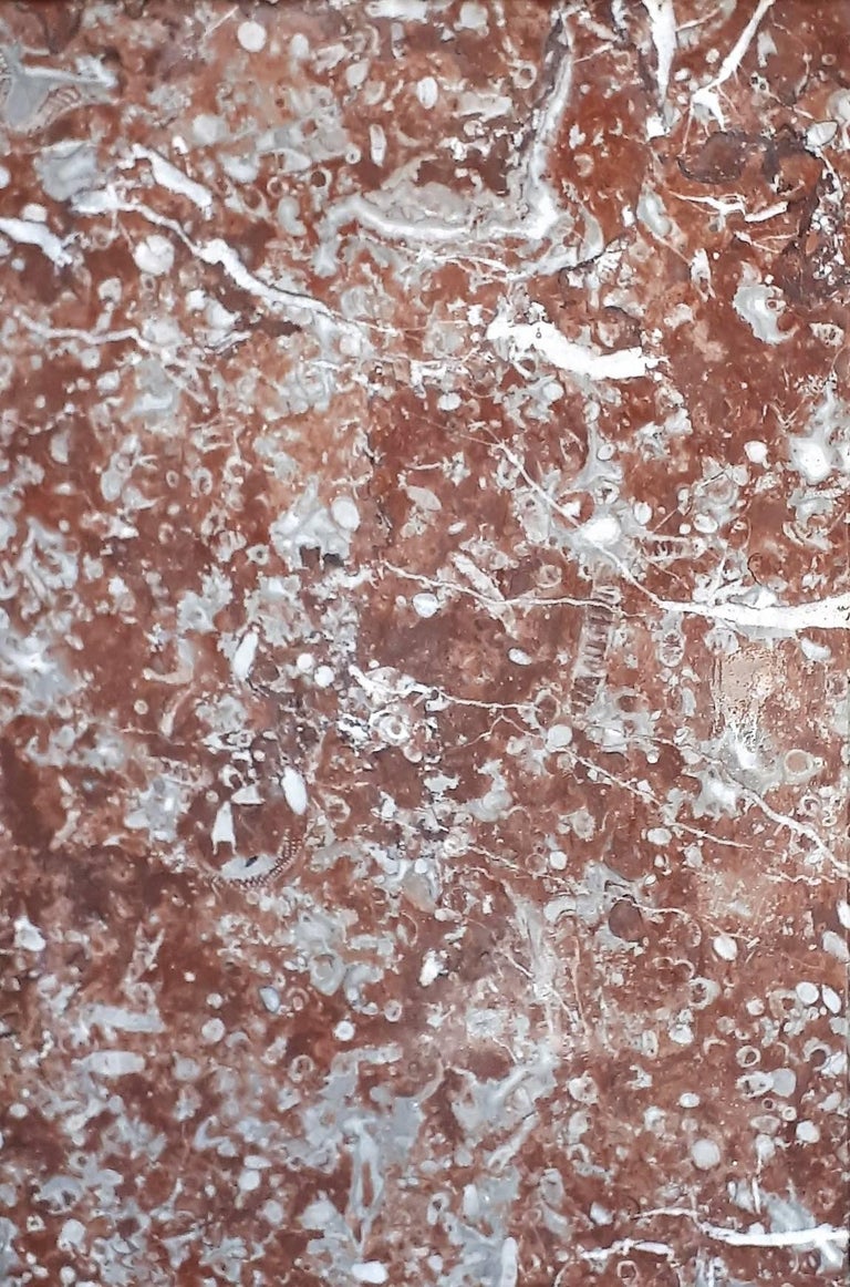 FIREPLACE Louis Philippe in Belgian Red Marble Griotte For Sale at 1stDibs