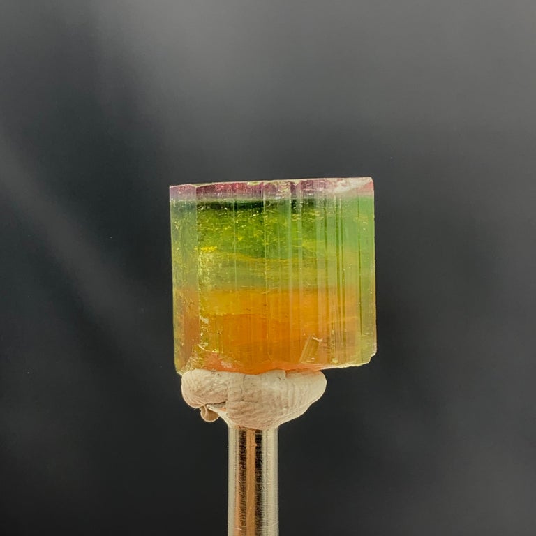 Sublime 53.15 Carat Tri Color Tourmaline Crystal from Nooristan ...