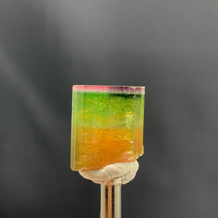 Sublime 53.15 Carat Tri Color Tourmaline Crystal from Nooristan ...