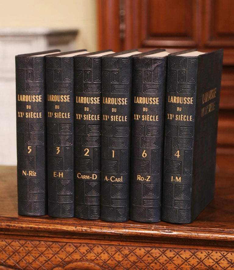 Suite of 6 Early 20th Century French Leather Bound Dictionary Books ...