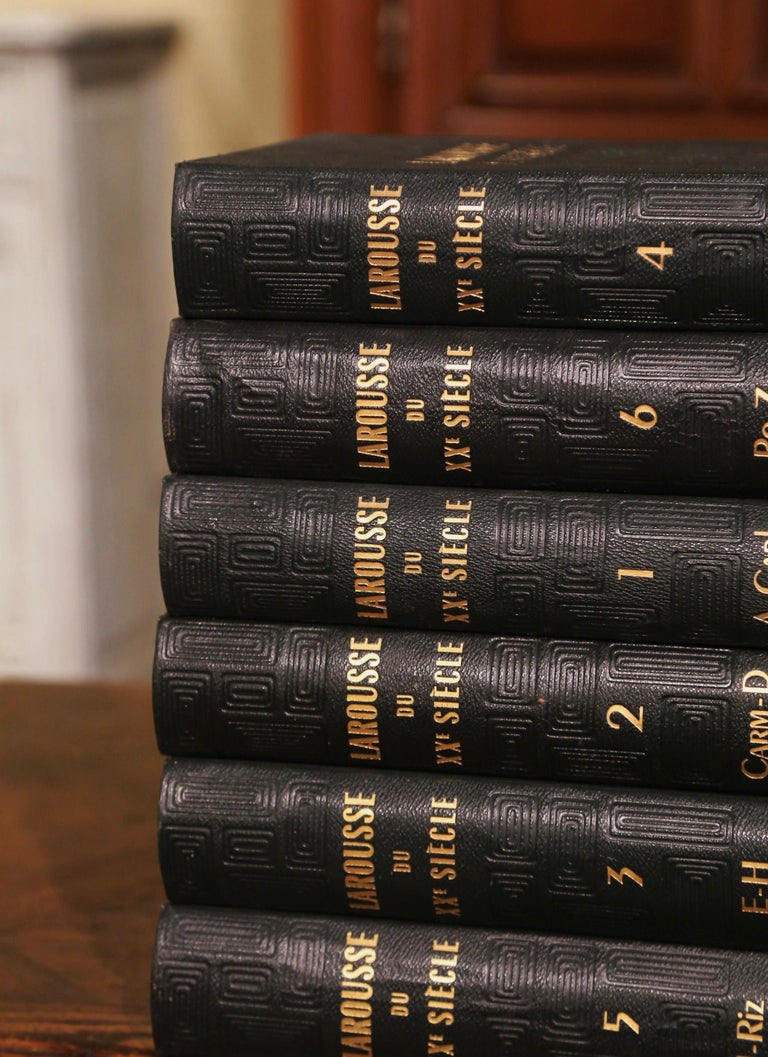 Suite of 6 Early 20th Century French Leather Bound Dictionary Books ...