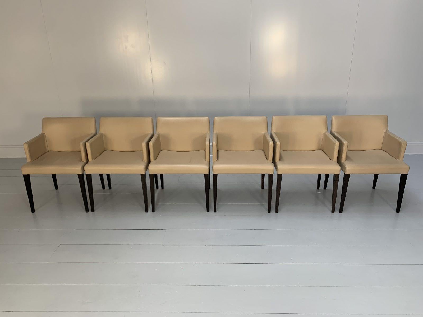 Suite of 6 Poltrona Frau “Liz B” Dining Chairs – In Brown “Pelle Frau ...