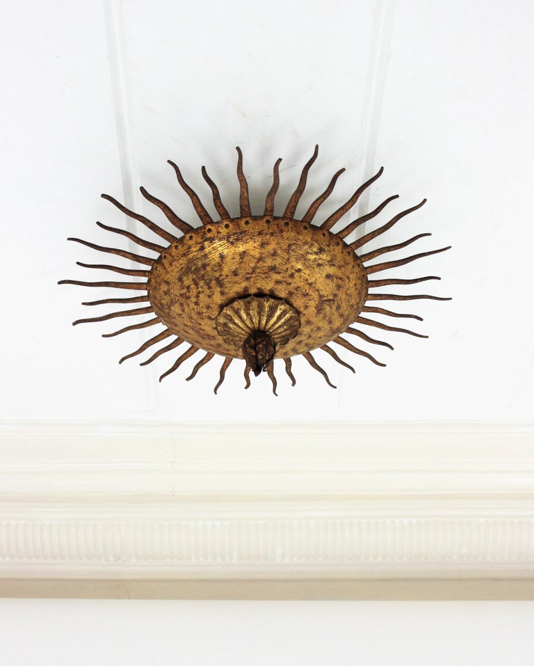 Sunburst Curly Ceiling Light Fixture / Chandelier in Gilt Iron at ...