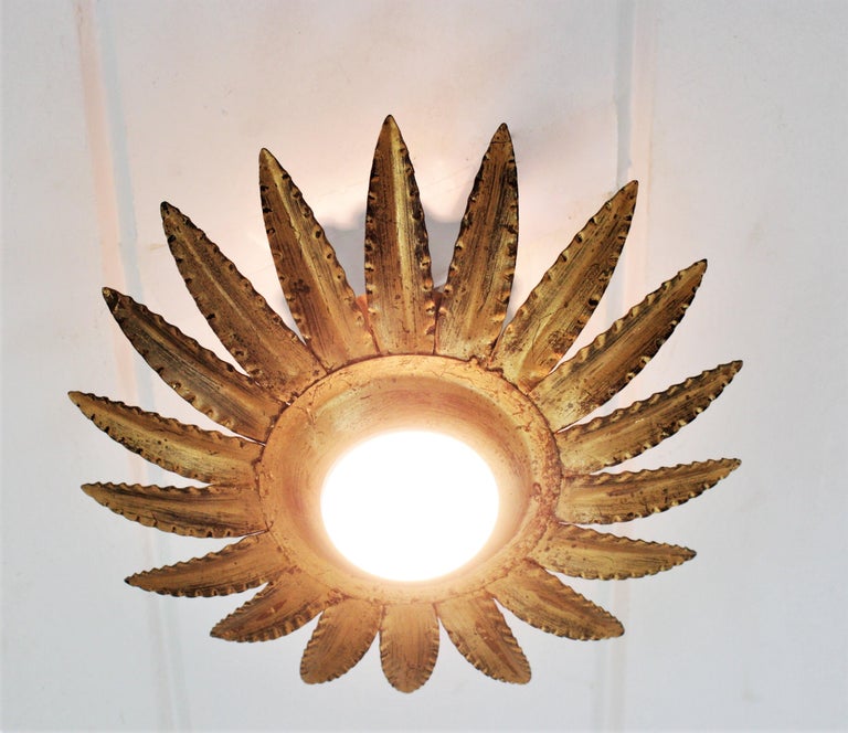 Sunburst Flower Light Fixture or Pendant in Gilt Metal at 1stDibs