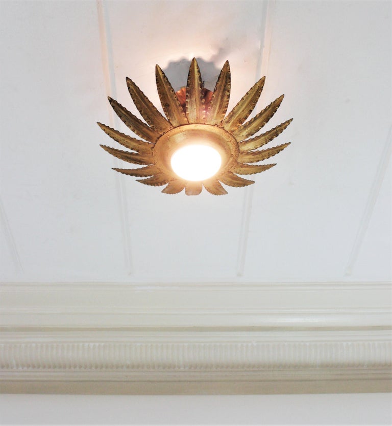 Sunburst Flower Light Fixture or Pendant in Gilt Metal at 1stDibs