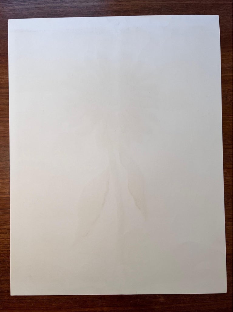 Sunflower Lithograph Signed Montgomery For Sale at 1stDibs