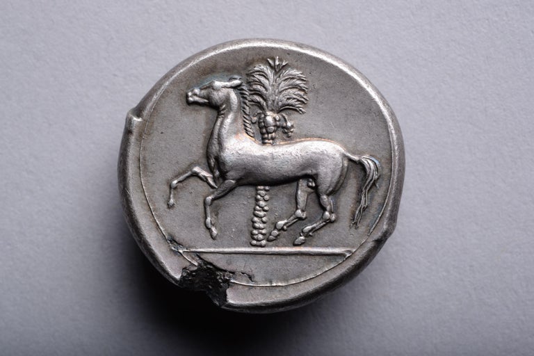 Superb Ancient Greek Silver Punic Coin from Sicily at 1stDibs