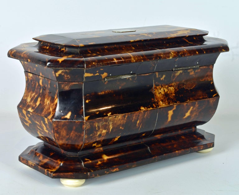 Superior 19th Century English Georgian Tortoise Shell Tea Caddy on ...