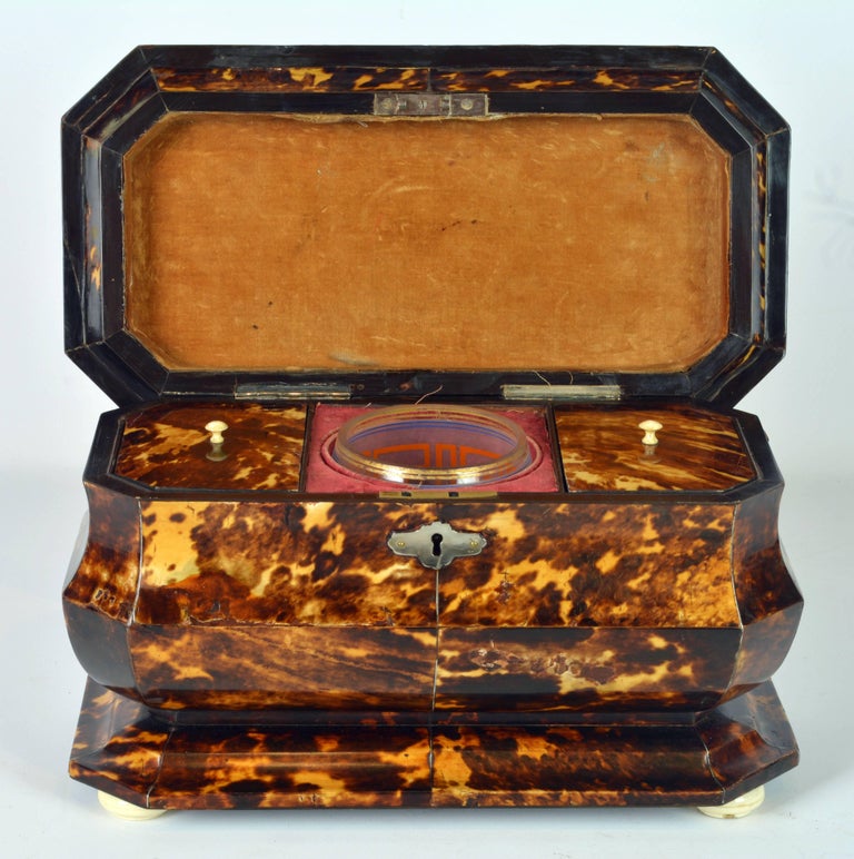 Superior 19th Century English Georgian Tortoise Shell Tea Caddy on ...